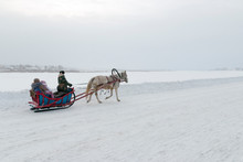 Sleigh Ride Free Stock Photo - Public Domain Pictures