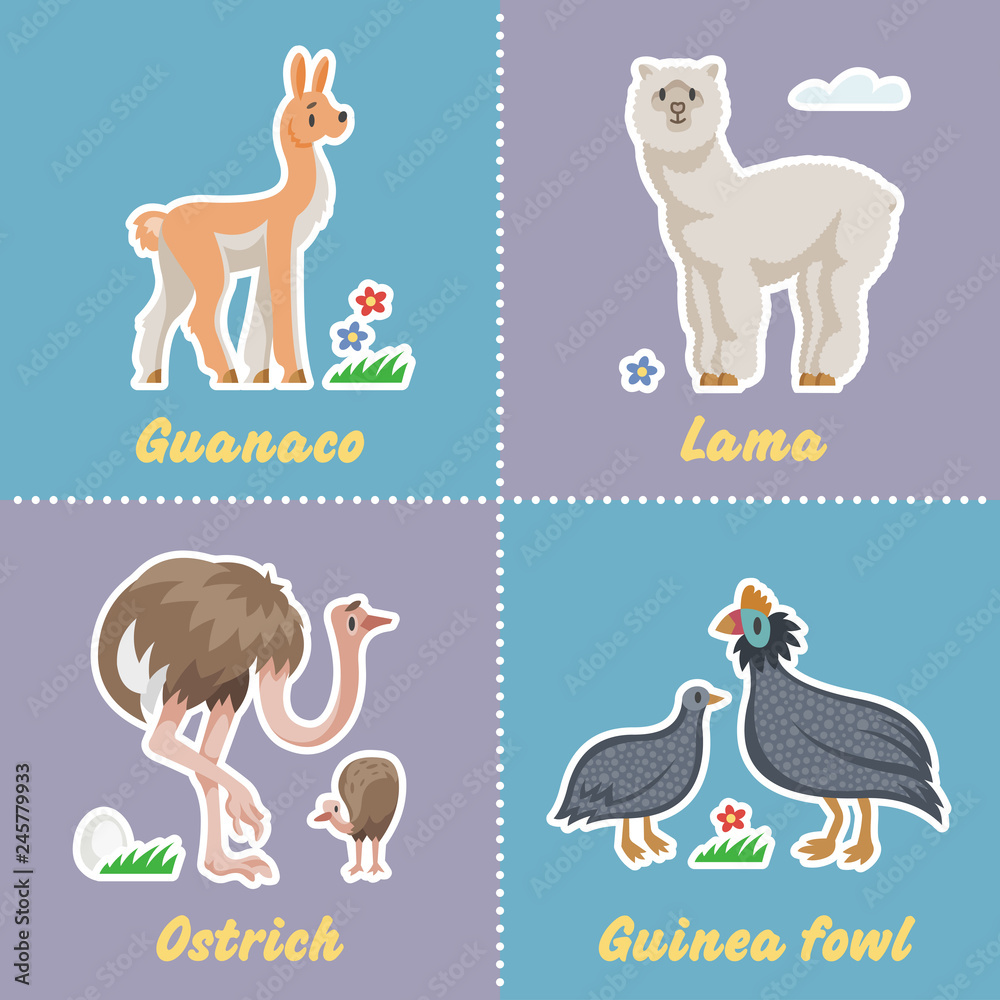 Cartoon set funny exotic farm animals with guanaco, lama, ostrich and ...