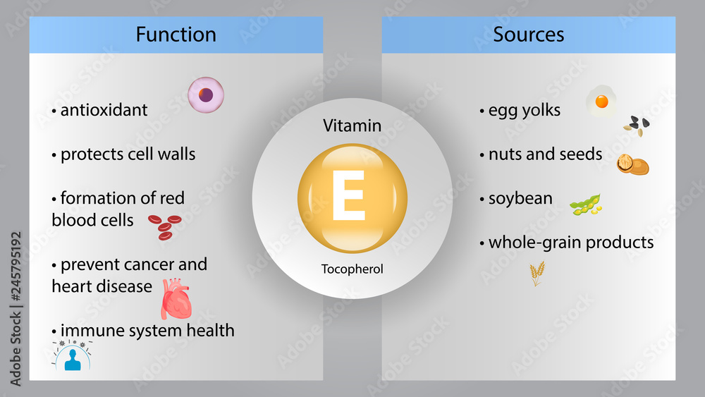 Vitamin E vector design. Vitamin E function and sources. Tocopherol ...