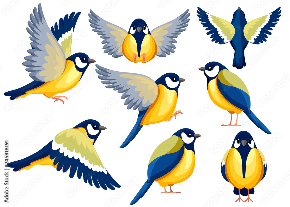 Vector de Stock Colorful Icon set of Titmouse bird . Flat cartoon ...