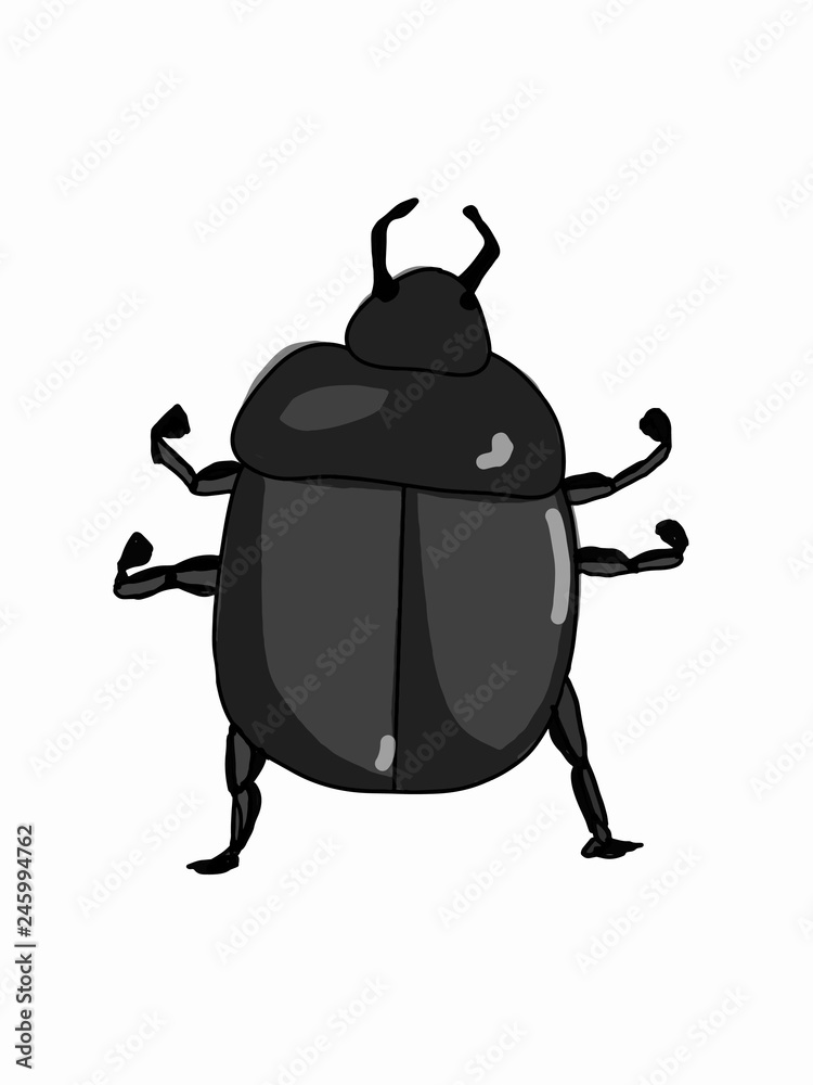 Cartoon Dung Beetle