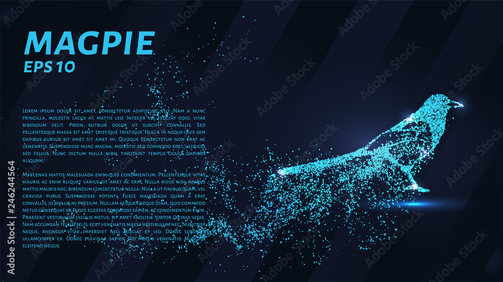 Magpie. A grid of blue stars in the night sky. Points of light create ...