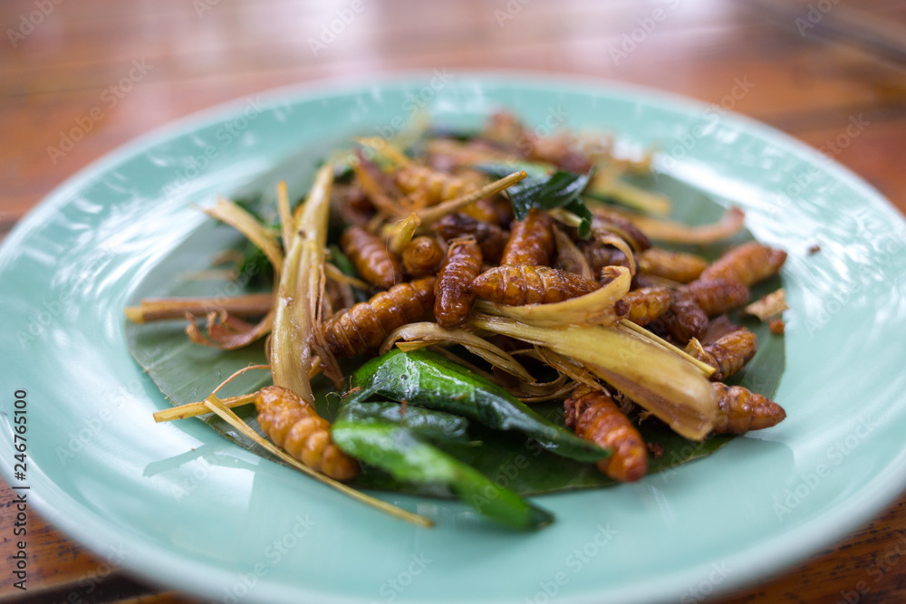 Deep fried silkworm larvae with kaffir lime leaves - traditional Laos ...