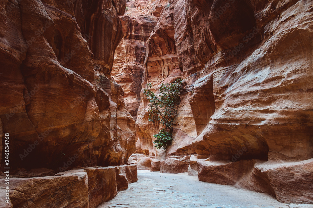The Siq is the ancient main entrance leading to the UNESCO world ...