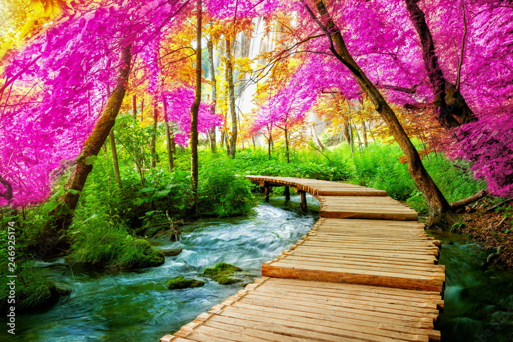 Beautiful wooden path trail for nature trekking with lakes and ...