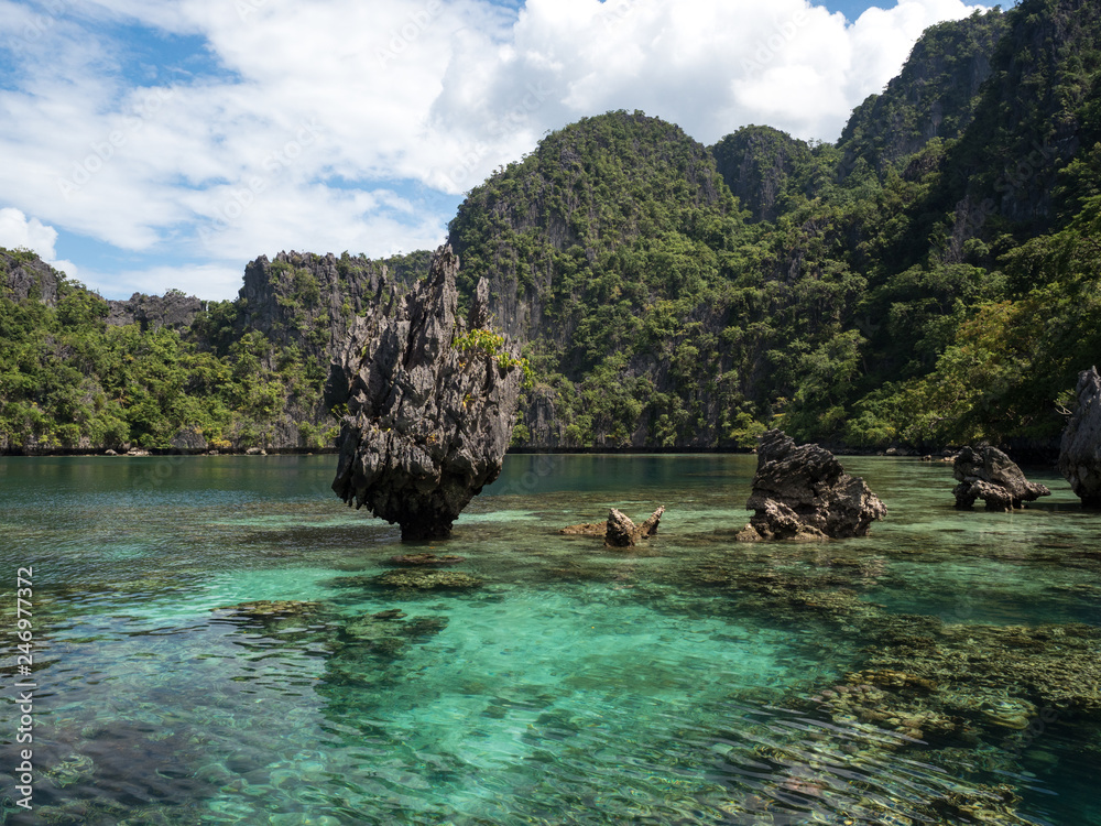 Stones in Barracuda lake on Coron Island, surrounded by limestone ...