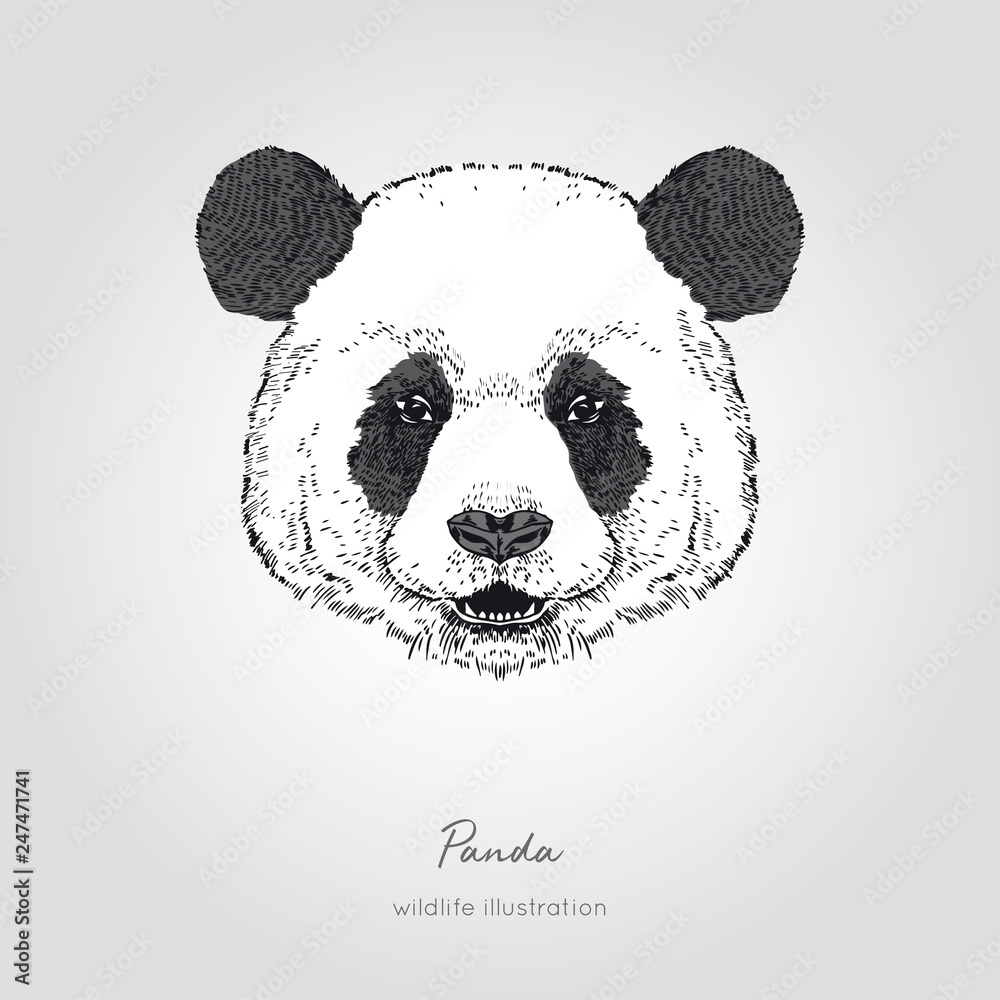 panda face sketch