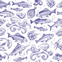 Vintage Fish And Octopus Drawing Free Stock Photo - Public Domain Pictures