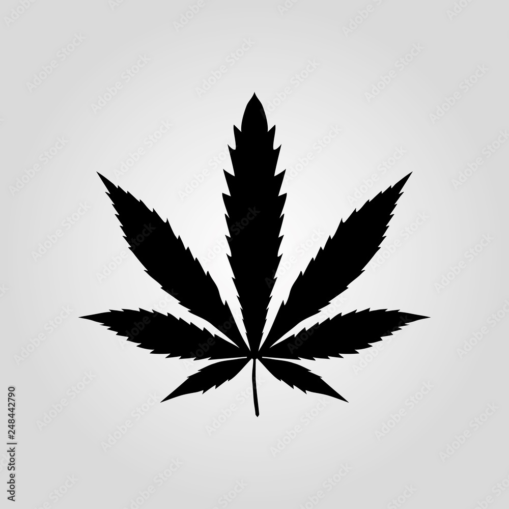 Vector cannabis leaf silhouette on white background Marijuana Stock ...