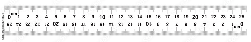 Ruler 25 centimeter. Ruler 250 mm. The direction of marking on the ...