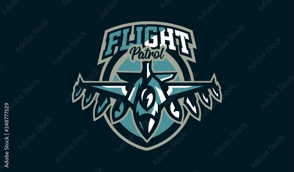 The emblem of a military aircraft. Aircraft logo. Military equipment ...