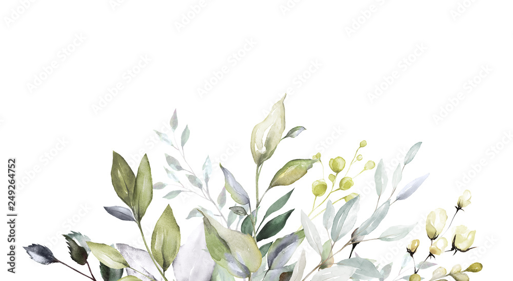 botanical design. horizontal herbal banners on white background for ...