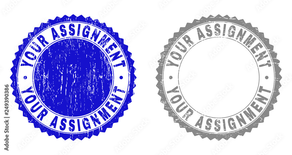 Grunge YOUR ASSIGNMENT stamp seals isolated on a white background ...