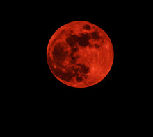 Blood Moon Free Stock Photo - Public Domain Pictures