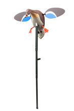 Wind Indicator Free Stock Photo - Public Domain Pictures