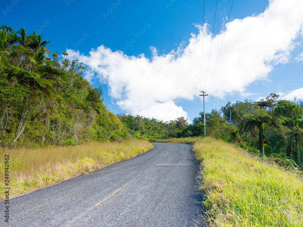 Ruta panoramica road in Puerto Rico. USA. this road is little used by ...