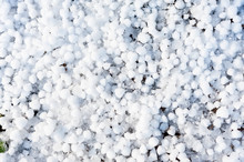 Mass Of Hailstones Free Stock Photo - Public Domain Pictures