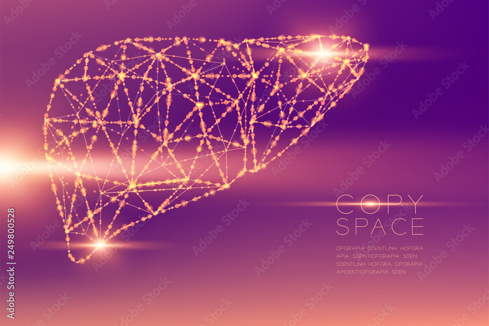 Liver shape futuristic pattern wireframe polygon bokeh light structure ...