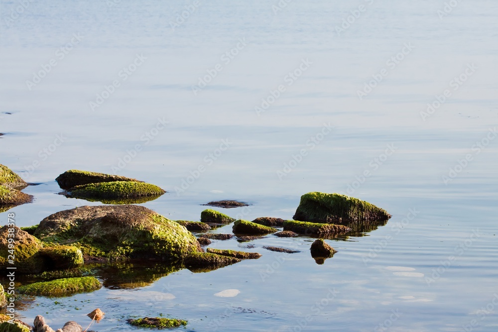 sea shore, stones in water covered with green algae, endless, still ...