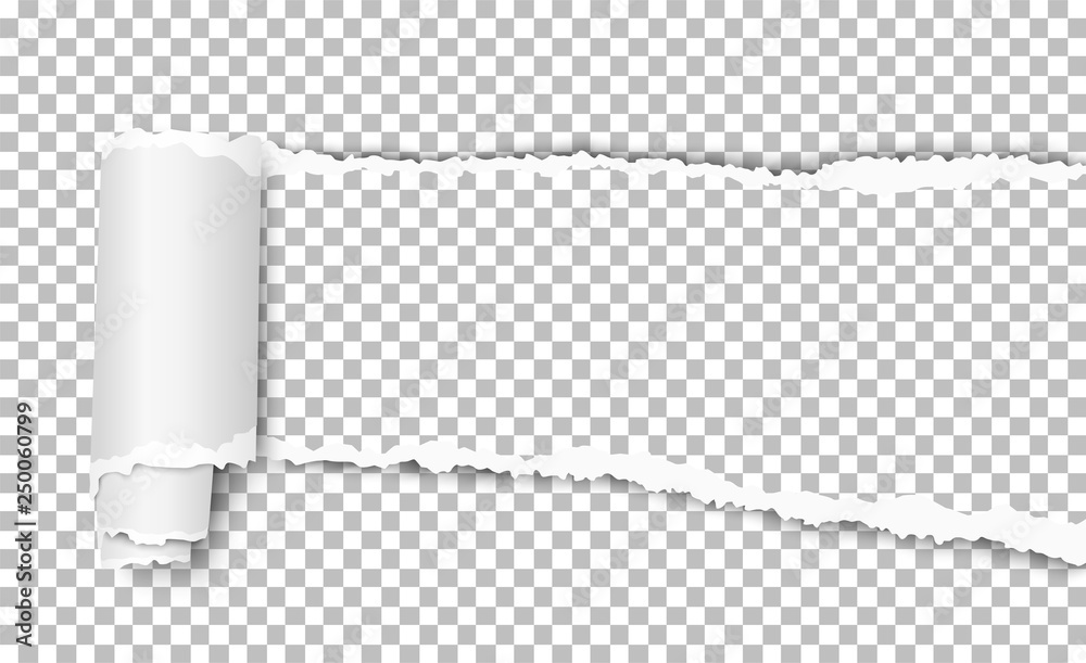 Vector transparent torn wisp of paper with curl and shadow Stock Vector ...