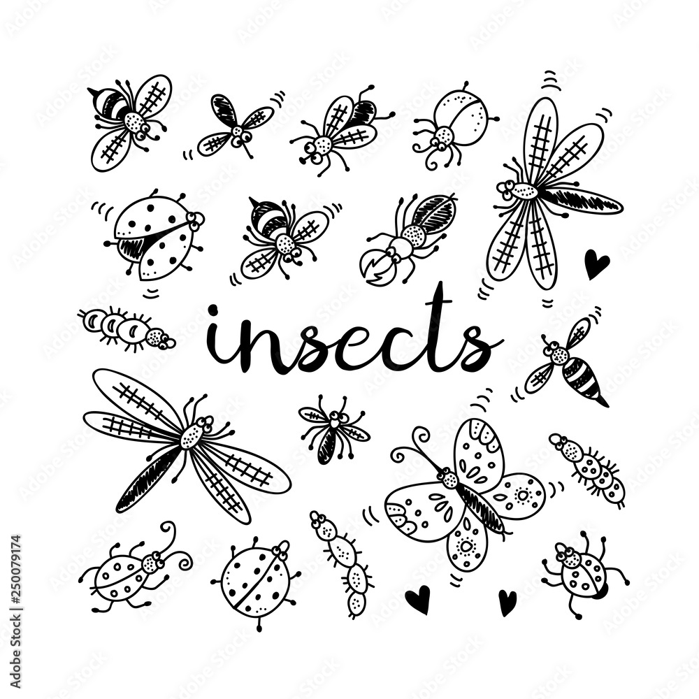 Insects doodle set, vector collection isolated on white background Stock Vector | Adobe Stock
