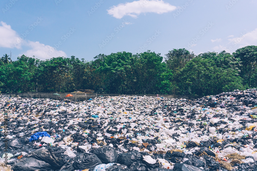 PLASTIC POLLUTION in the jungle. Dirty plastic bottles and bags on a ...