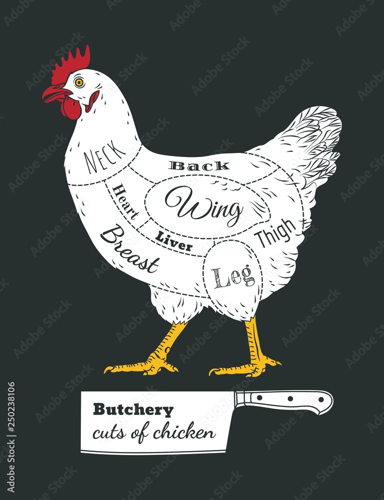 Chicken hen fresh, roster isolated logo, white back. For shop, farm ...