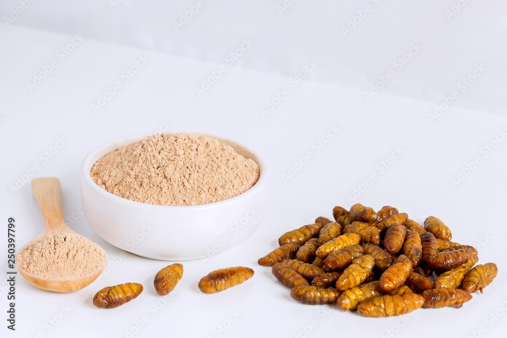 Silkworm Pupae (Bombyx Mori) powder. Insects flour for eating as food ...