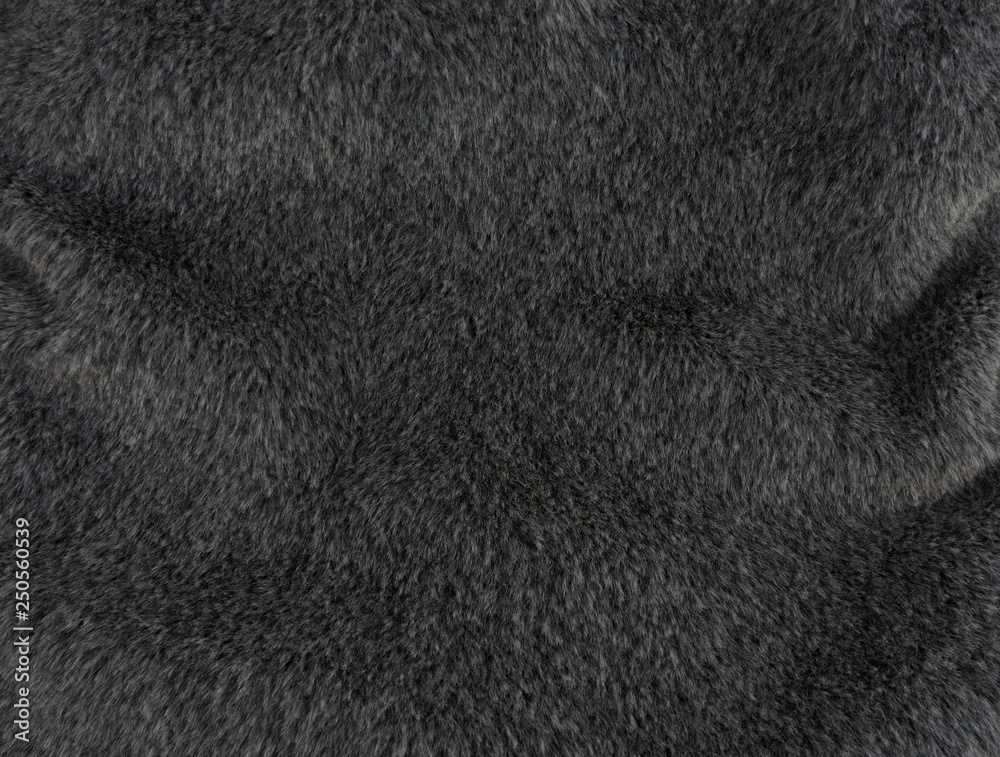 beautiful luxury short soft fur background gray color, elegant gray ...