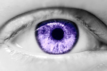 Violet Eye Free Stock Photo - Public Domain Pictures