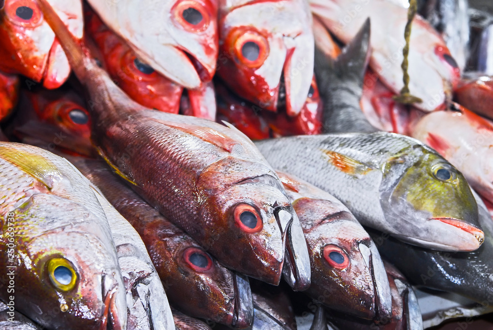 Mixed array of grouper fish, red snapper, coral fish laying for sale on ...