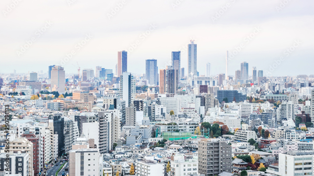 panoramic city skyline view in Tokyo, Japan Stock Photo | Adobe Stock