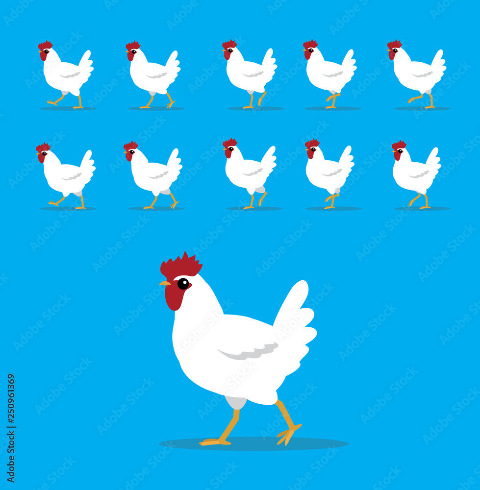 Animal Animation Sequence Poultry White Chicken Cartoon Vector Stock ...