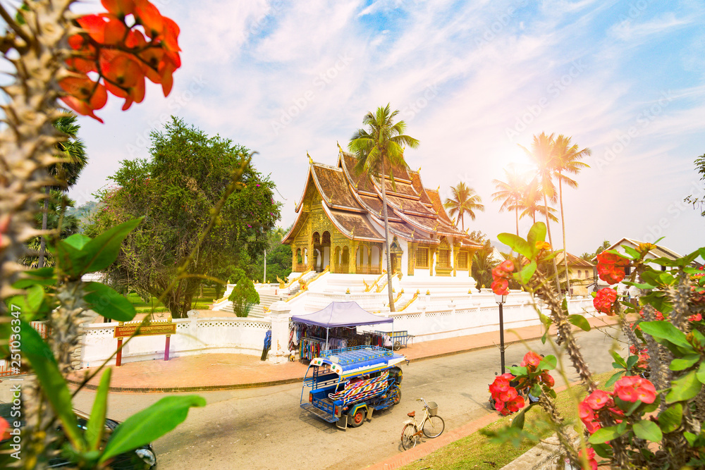 Stunning view of a tuk tuk (auto rickshaw) passing in front of the ...