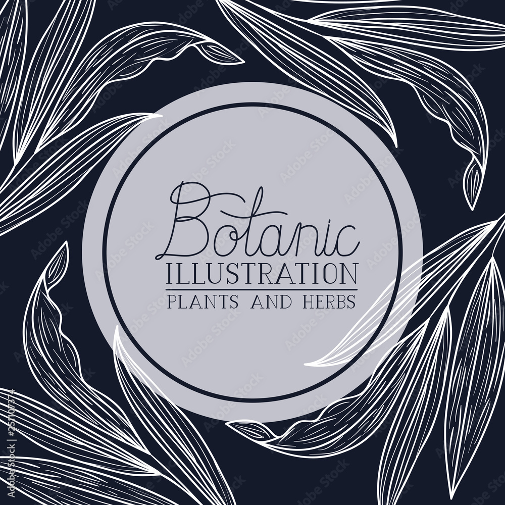 botanic illustration label with plants and herbs Stock Vector | Adobe Stock