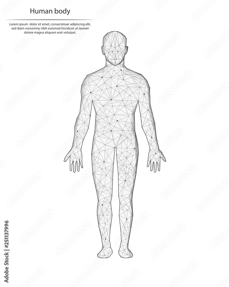 Abstract image human body in the form of lines and dots, consisting of ...