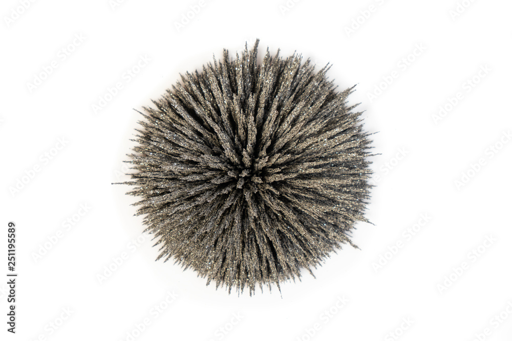 Group of iron filings show magnetic field lines over strong circle ...