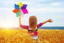 Field Of Pinwheels Free Stock Photo - Public Domain Pictures