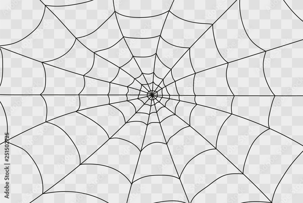 Cobweb isolated on white Stock Vector | Adobe Stock