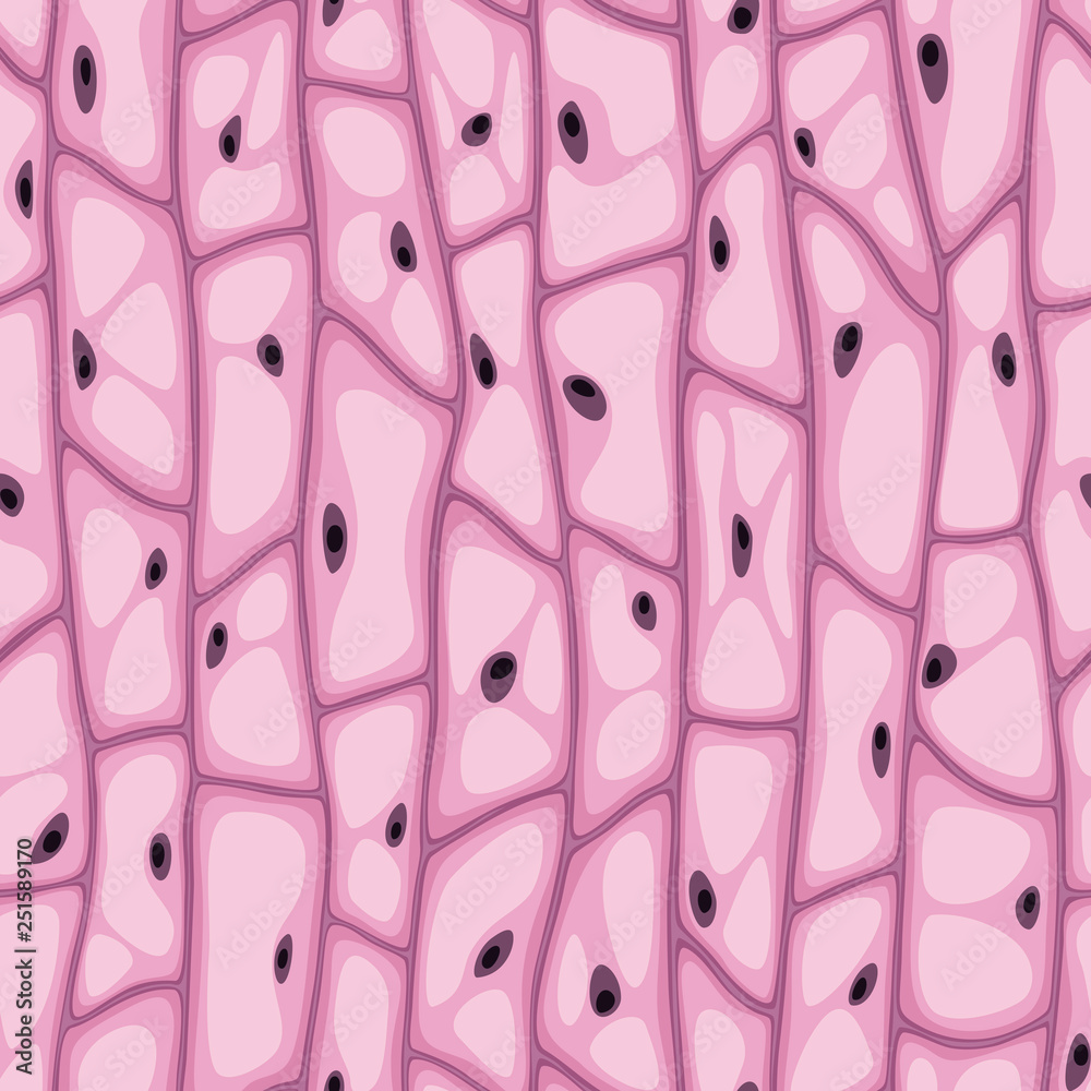 Seamless vector texture of organic cells with vacuoles and nuclei, pink ...