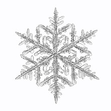 Six Arm Snowflake Free Stock Photo - Public Domain Pictures