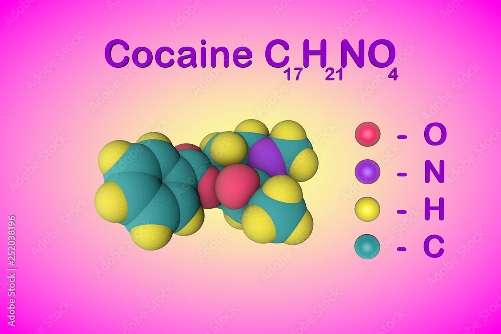 Molecular model of cocaine. Atoms are represented as spheres with color ...