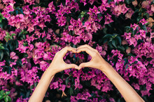 Spring Heart PNG Free Stock Photo - Public Domain Pictures
