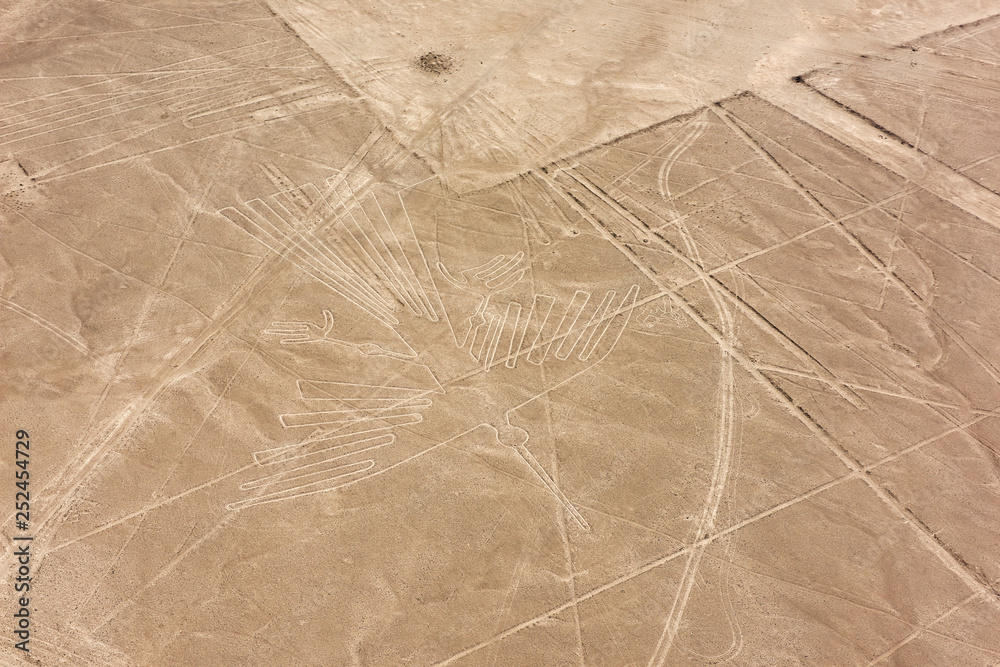 Nazca lines from the aircraft - condor Stock Photo | Adobe Stock