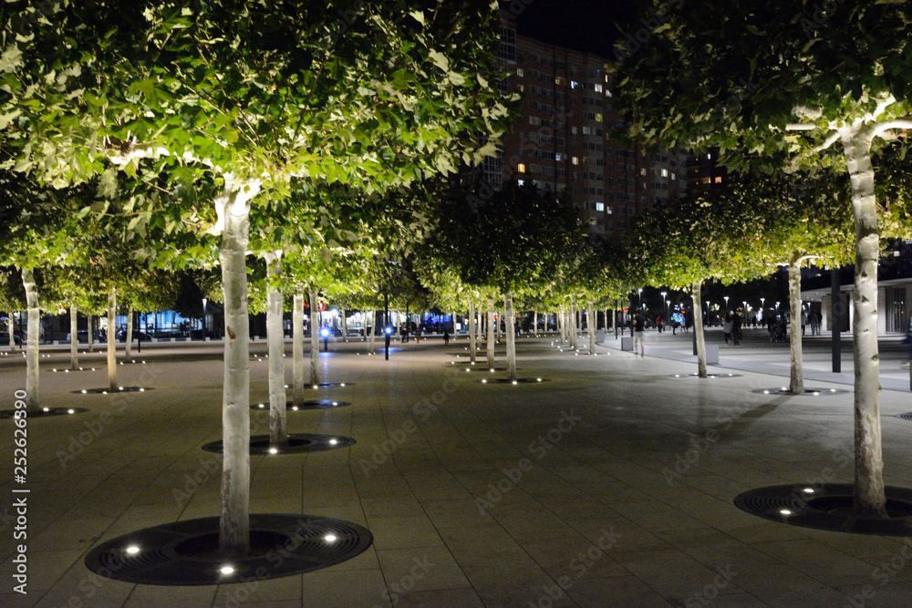 Krasnodar, Russia, night city, stadium, park, trees, moon, moonlight ...
