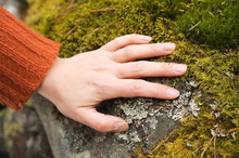 Child's Hand Touching Moss Free Stock Photo - Public Domain Pictures