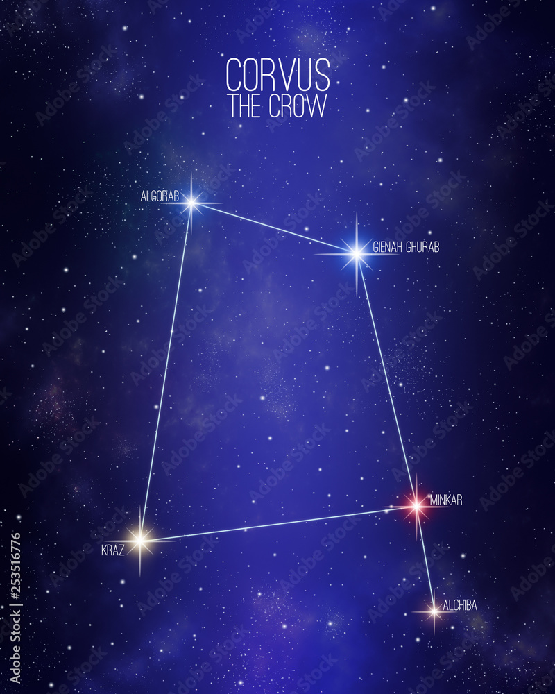 Corvus the crow constellation on a starry space background with the ...