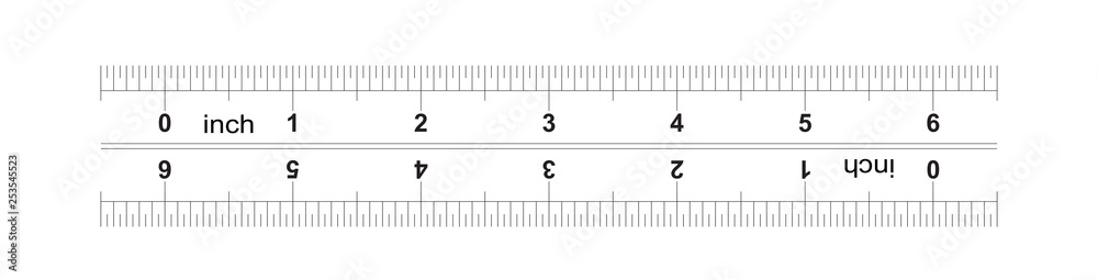 Ruler bidirectional 6 inches. Metric calibration grid. The division ...
