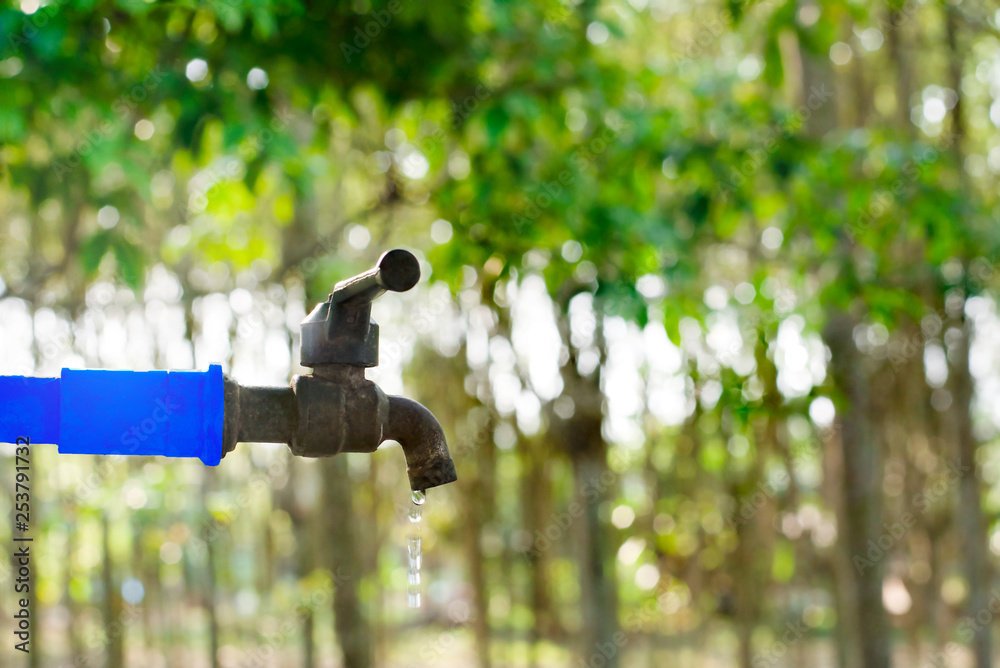 Water valve on green nature background, Close up tap valve with blur ...