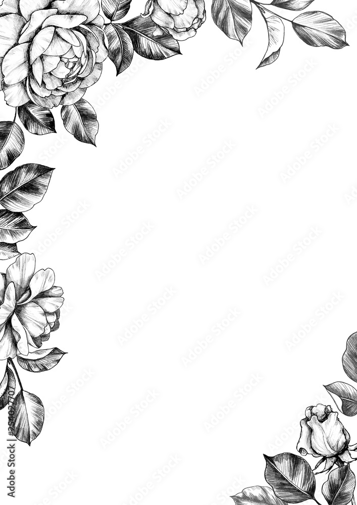 Elegant Border with Rose Flowers, Buds and Leaves. Stock Illustration ...